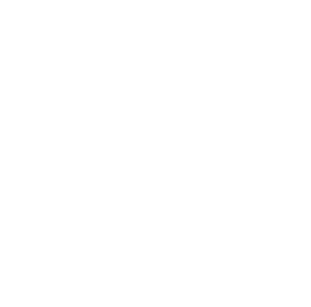 Misha Perko - Merkur Insurance Company